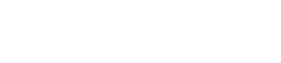 WMS Consulting: Revolutionizing Supply Chain Execution